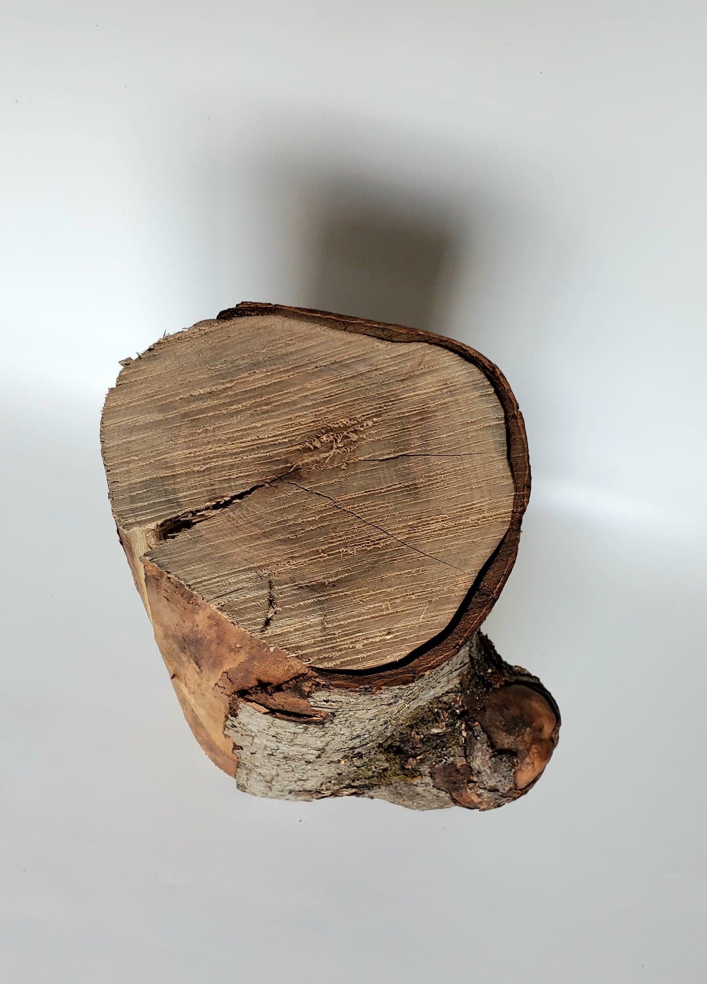 Maple Log / Rustic Wood / Natural / Raw and Dry / - Etsy