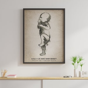BIRTH POSTER in Scale 1:1. Custom Baby Poster, Personalized Birth Gift ...