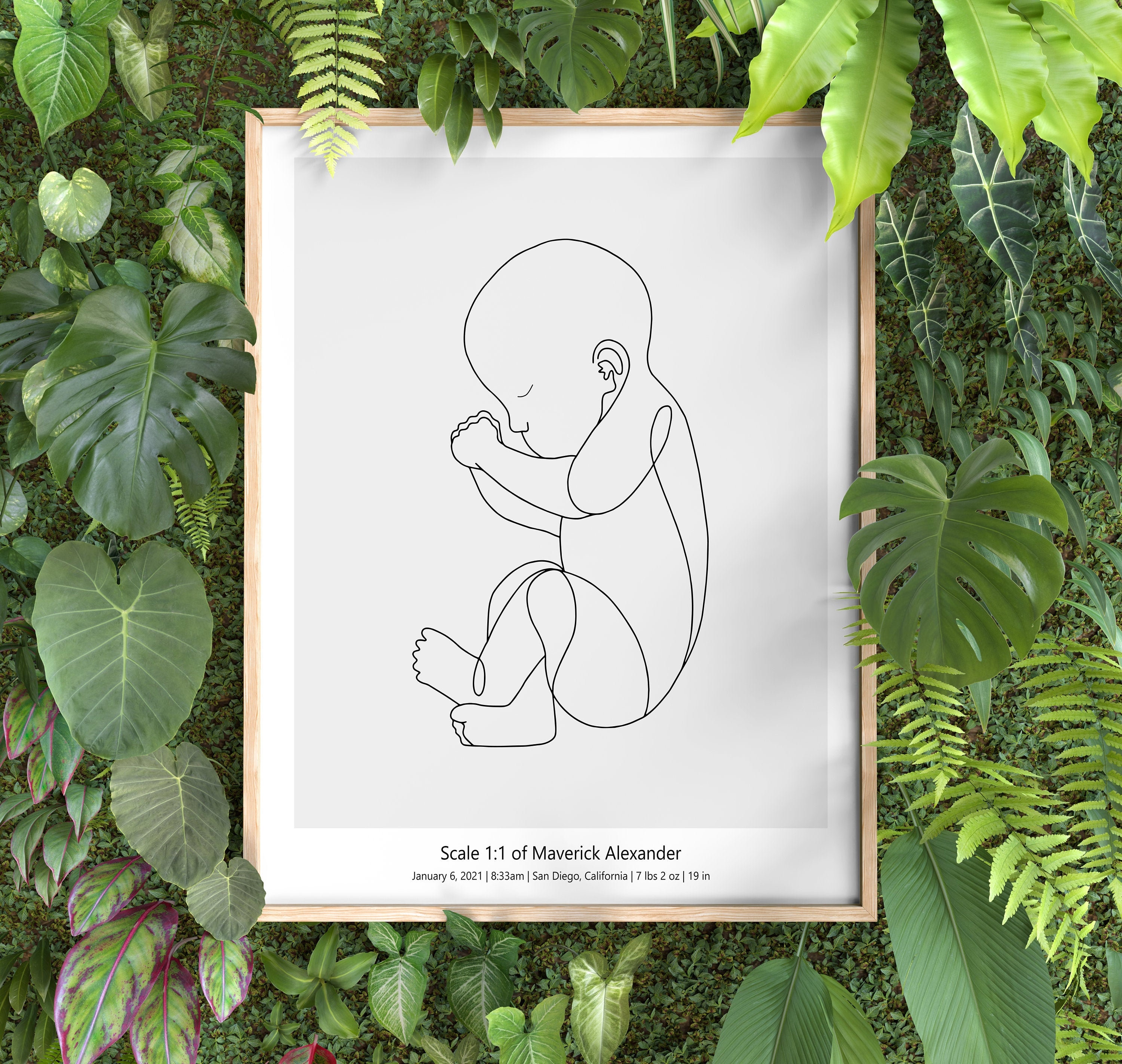 Baby Birth Poster Scale 1:1 The Birth Poster Scale Newborn | Etsy