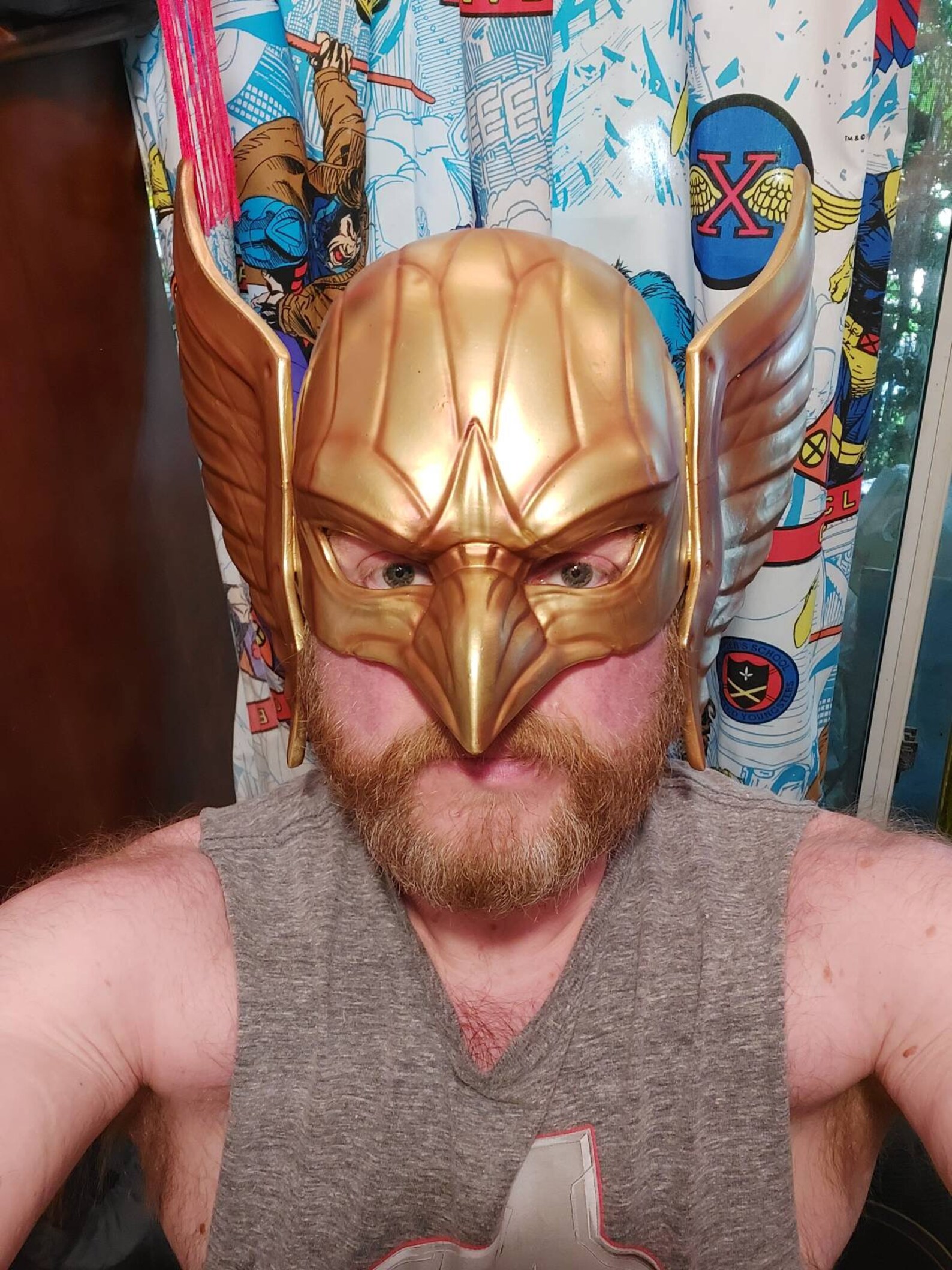 HAWKMAN DC COMICS Justice League Cosplay Helmet 3d Printed and Finished ...