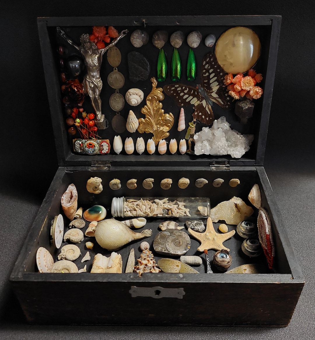 Cabinet of Curiosities Box of Wonders Unique Piece - Etsy