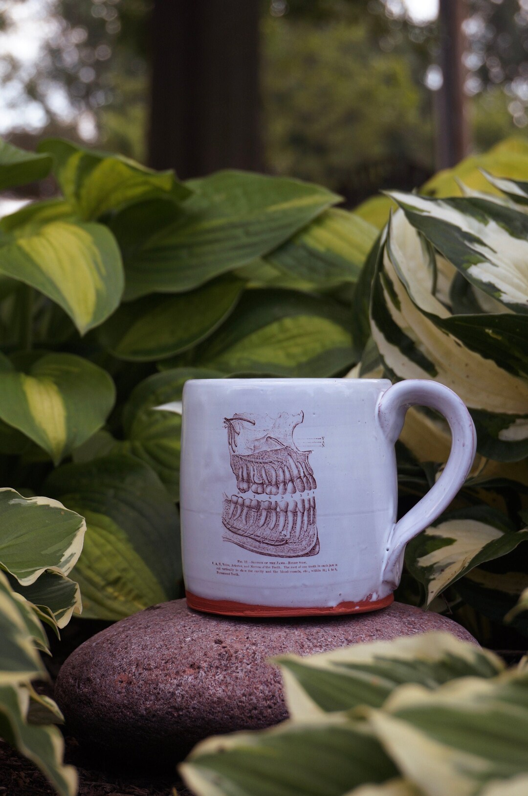 Vintage Diagram Mug - Etsy