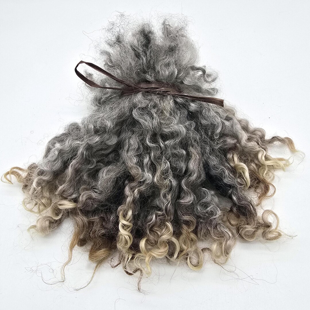 Curly Wool Locks – Wensleydale Fleece for Spinning, Felting & Doll Hair ...