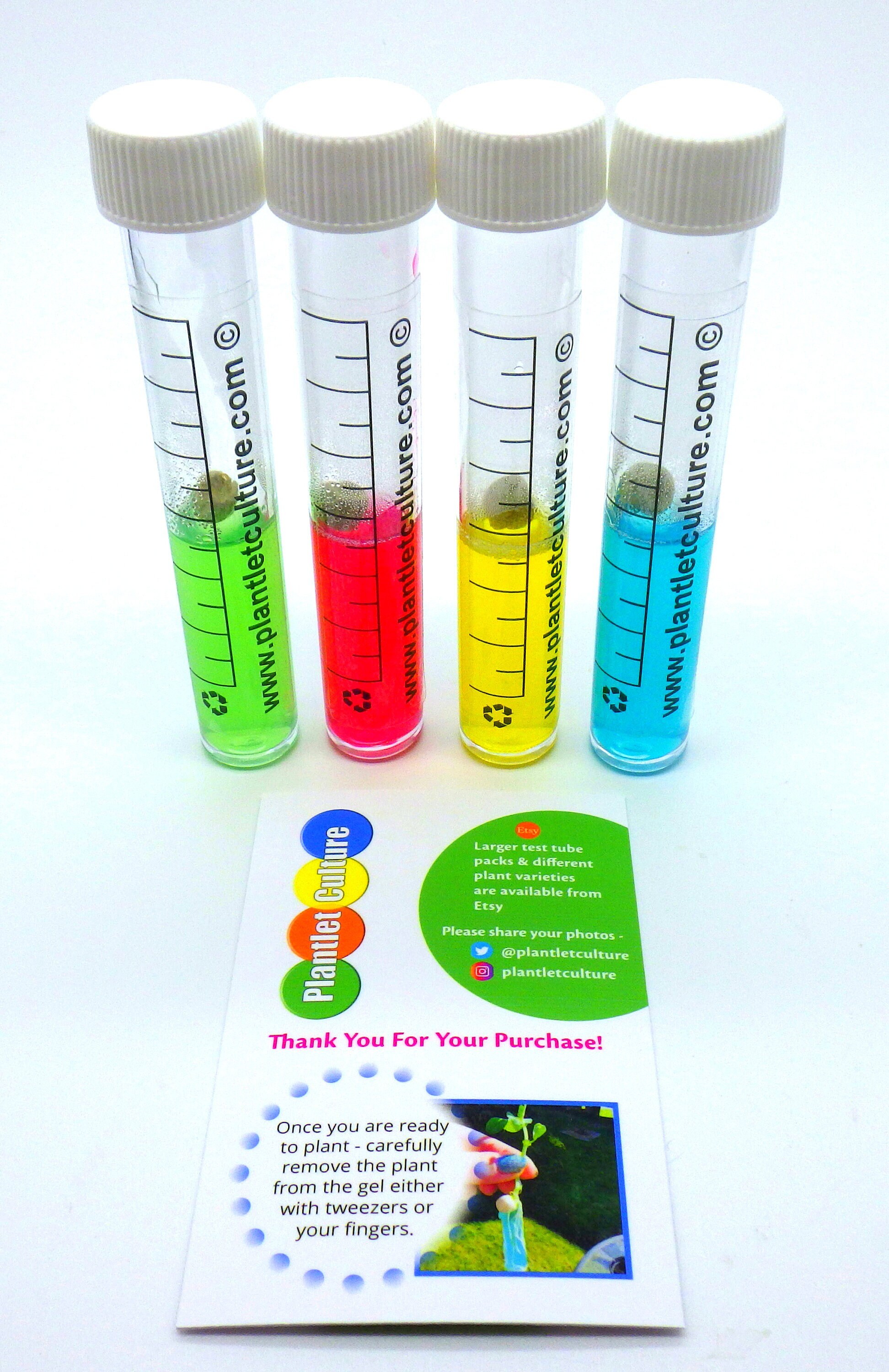 Grow A Pea in A 'mini' Test Tube Kids Party Favour - Etsy UK
