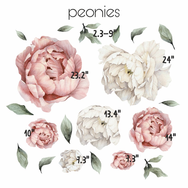 Peony Wall Decal Watercolor Peonies Wall Decals Flower | Etsy