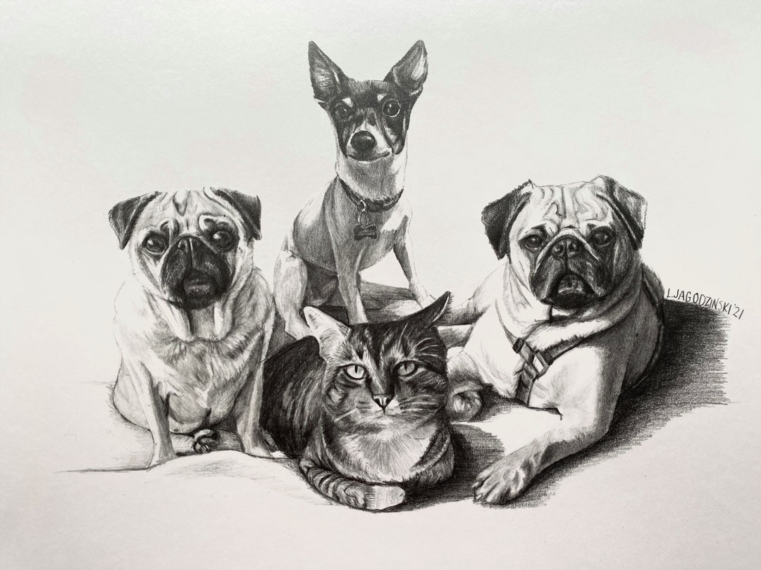 Custom Pet Portraits From Photos | Dog & Cat Portrait | Multi Pet ...