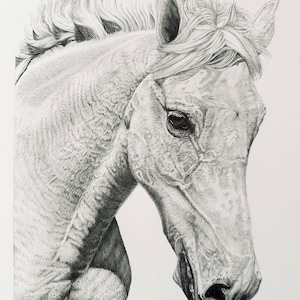 100% Hand Drawn Custom Horse Portraits From Your Photos, Multi Horse ...
