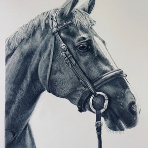 Hand Drawn Custom Horse Portrait: Realistic Pencil Art, Memorial Gift ...