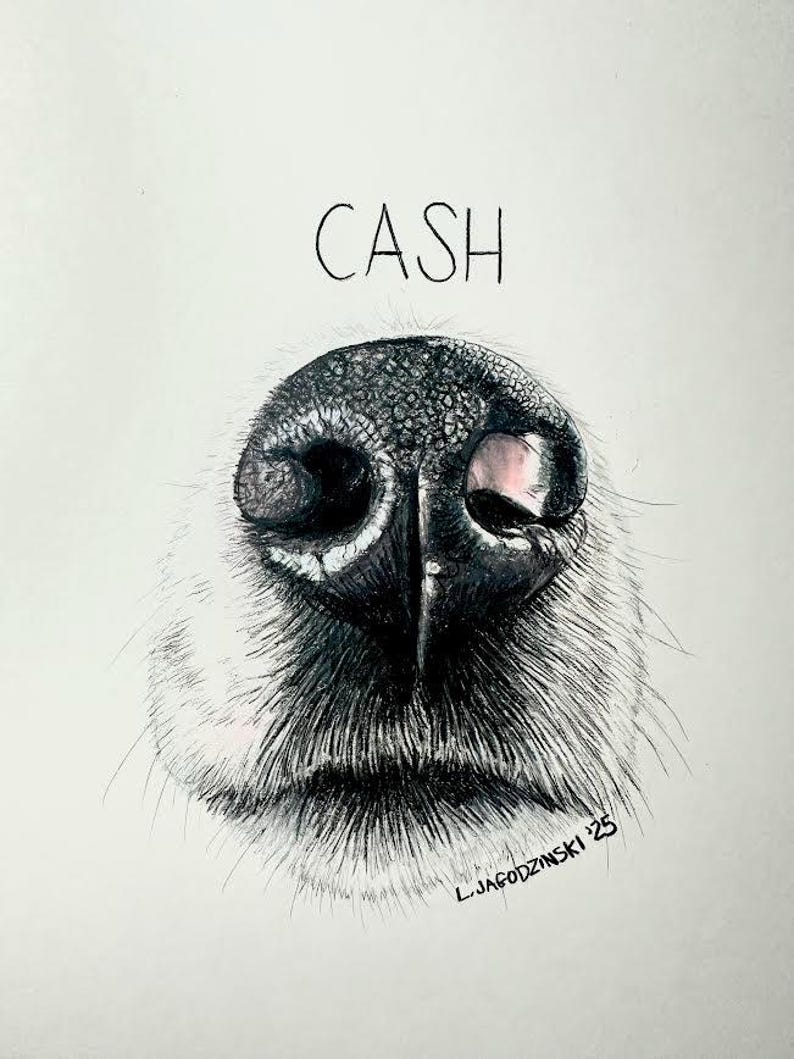 Hand Drawn Pet Nose Portrait: Custom Dog Memorial Art, Snout Drawing - Etsy