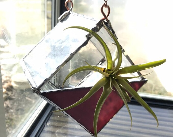 Stained Glass Box Terrarium for Airplants. - Etsy UK