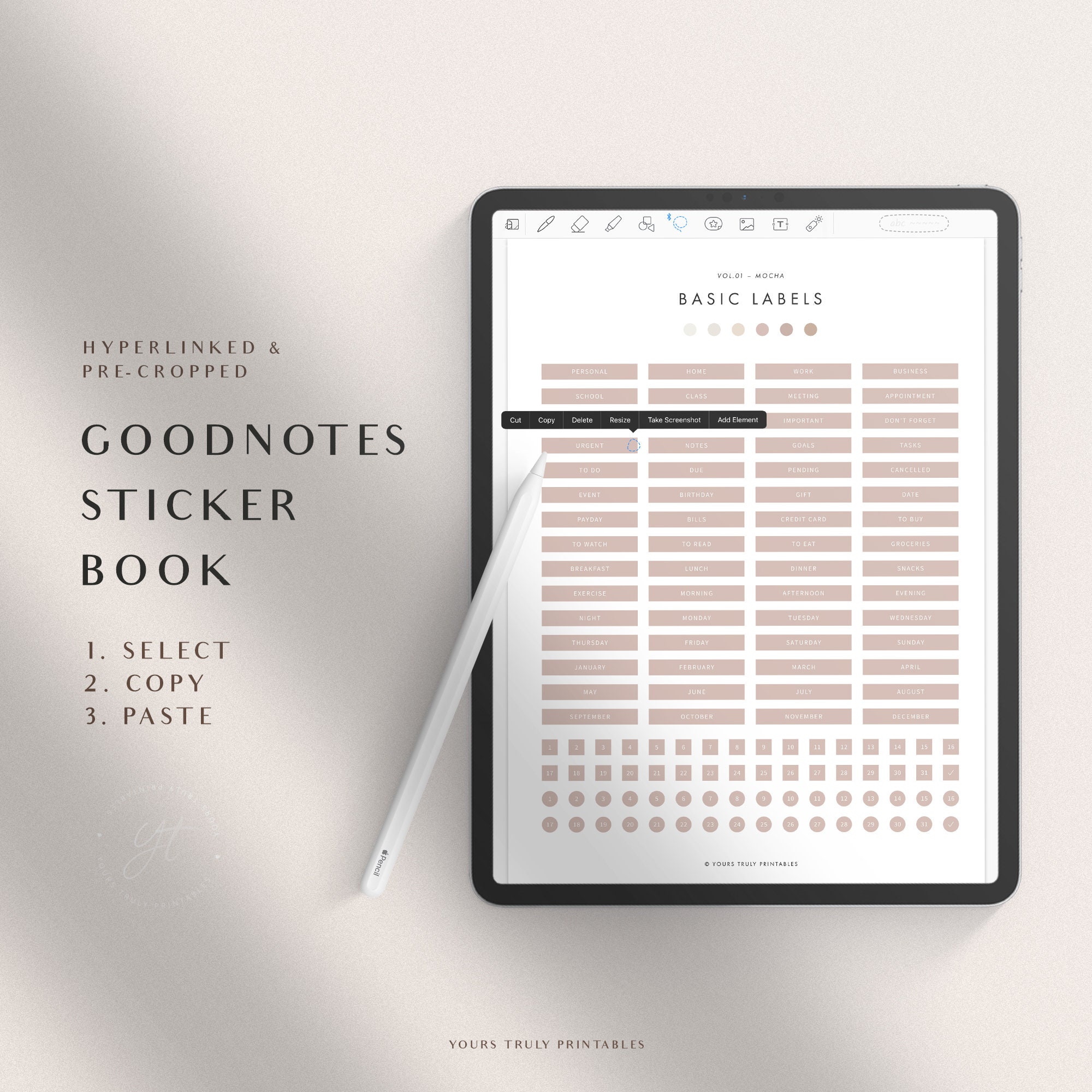 Neutral Label Digital Stickers - Goodnotes Sticker Book, Everyday ...