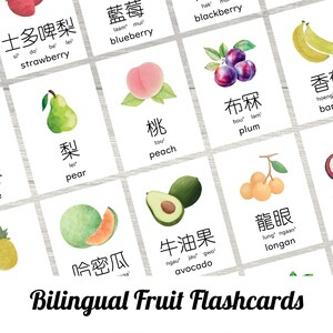 Bilingual Cantonese Chinese Fruit Flashcards Traditional - Etsy