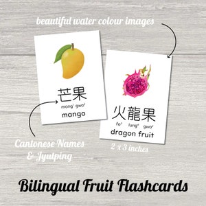 Bilingual Cantonese Chinese Fruit Flashcards Traditional Characters ...