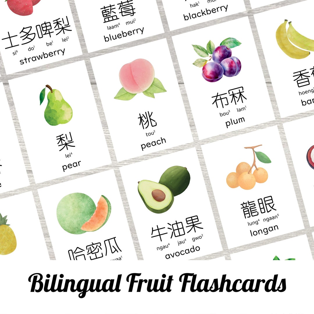 Bilingual Cantonese Chinese Fruit Flashcards Traditional - Etsy