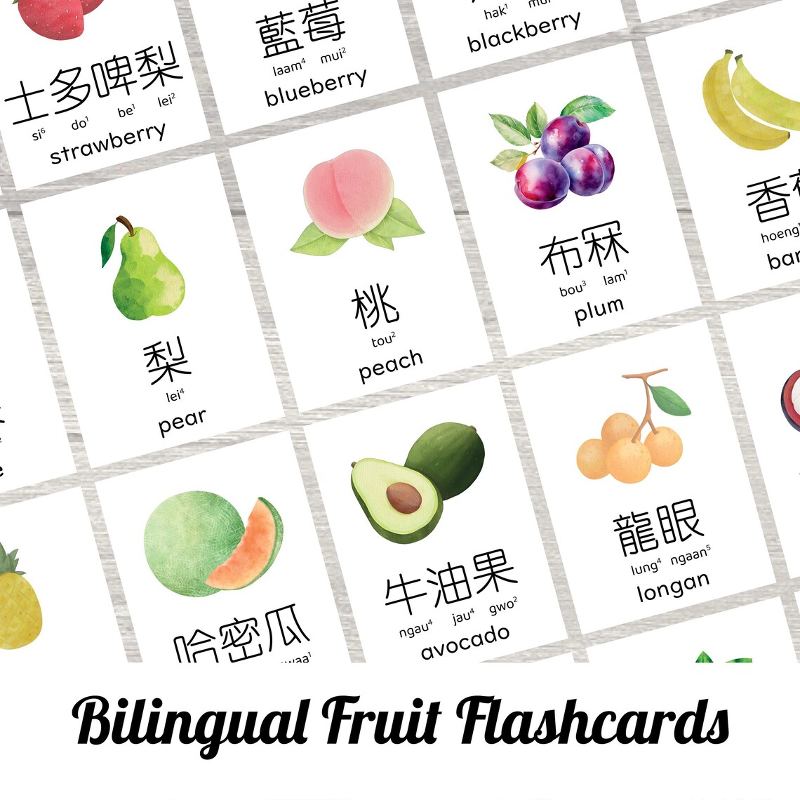 Bilingual Cantonese Chinese Fruit Flashcards Traditional - Etsy