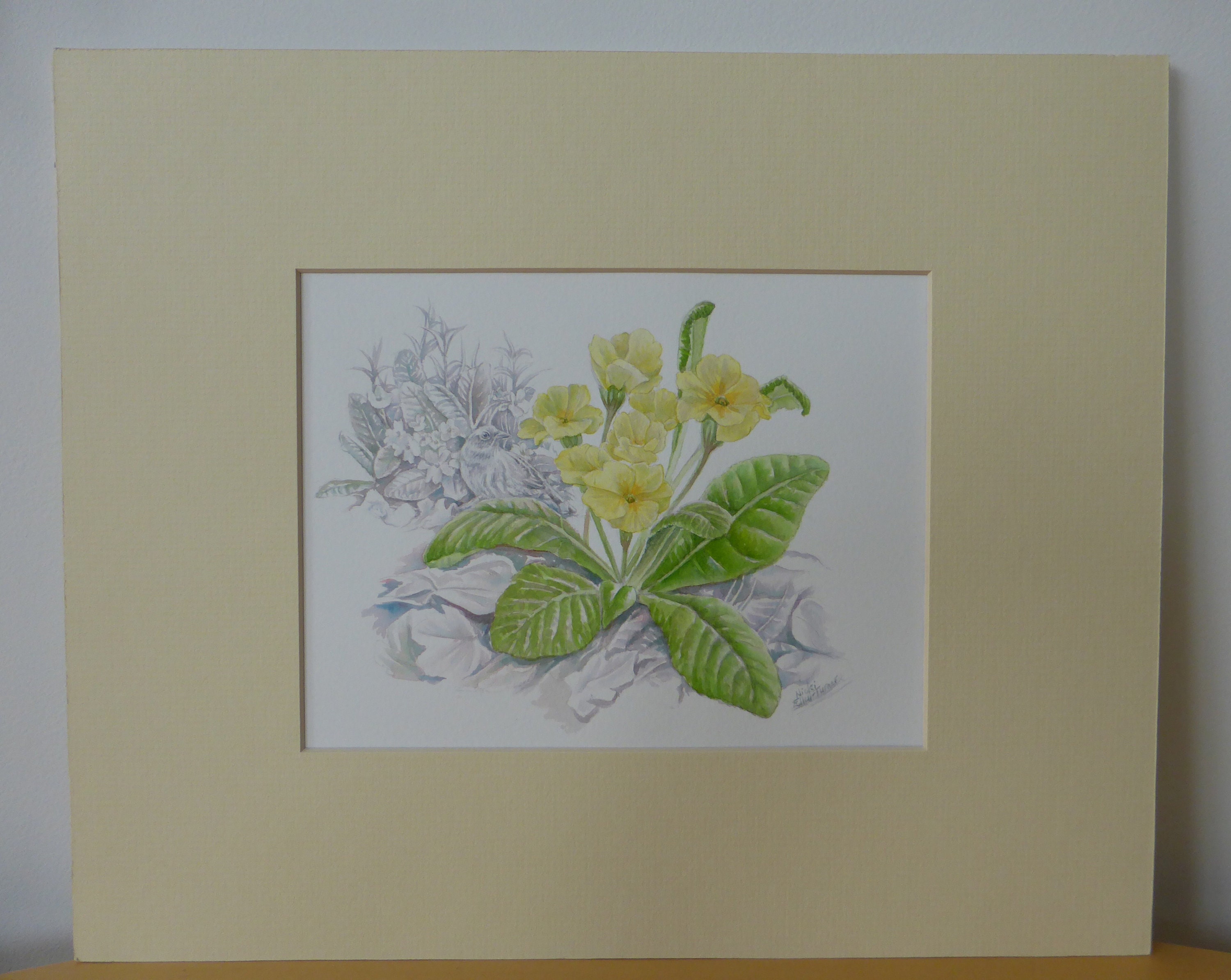 Primrose watercolour | Etsy