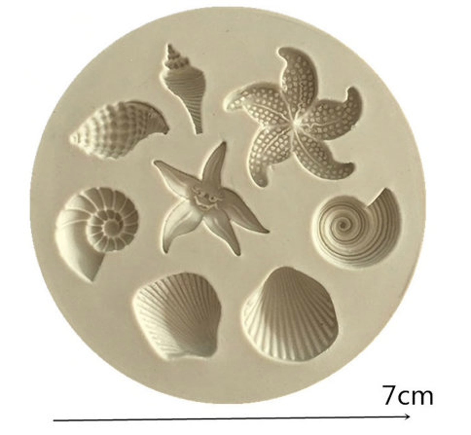 SEA SHELLS MOLD Beach Themed Mold Under the Sea Mold Mini - Etsy