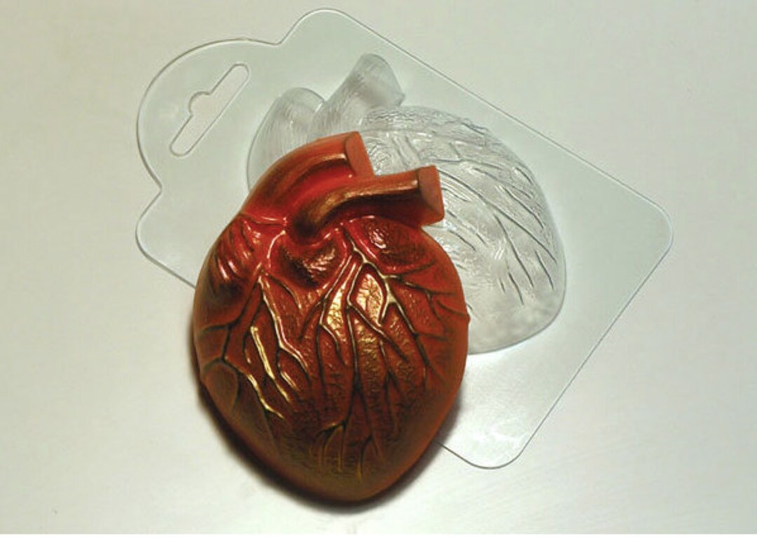 Anatomical Heart Mold, Medical Theme Mold, Human Heart Shaped Soap Mold ...