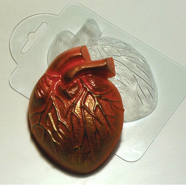 Human Heart Mold - Etsy
