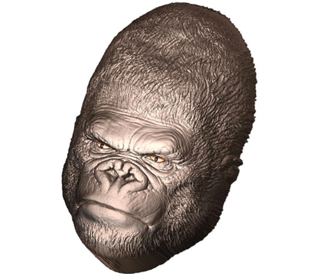 GORILLA MOLD, Monkey Soap Mold, Bath Bomb Mold, Chocolate Mold, Zoo ...