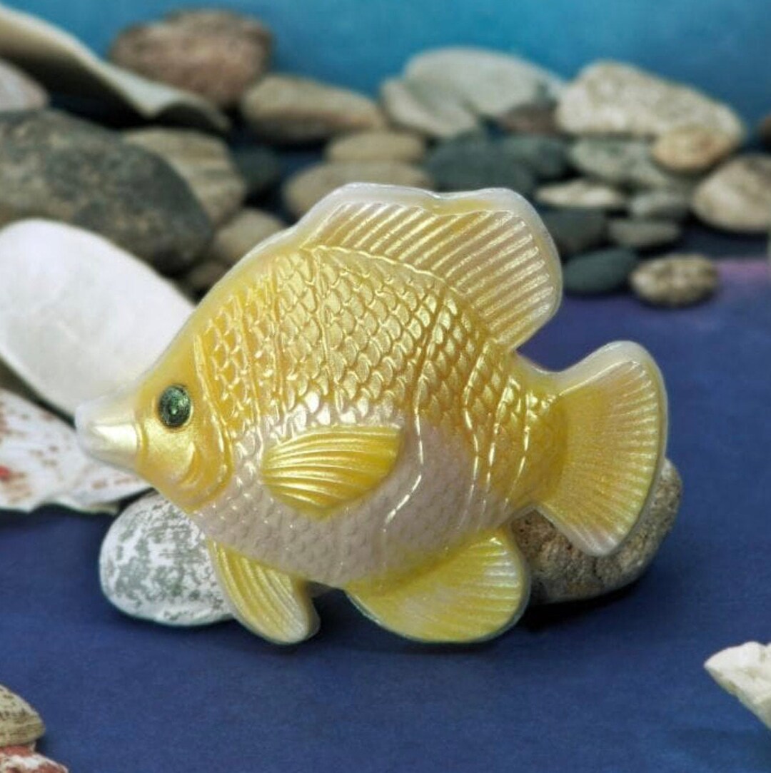 TROPICAL FISH MOLD, Chocolate Mold, Soap Mold, Cake Decoration Tools ...