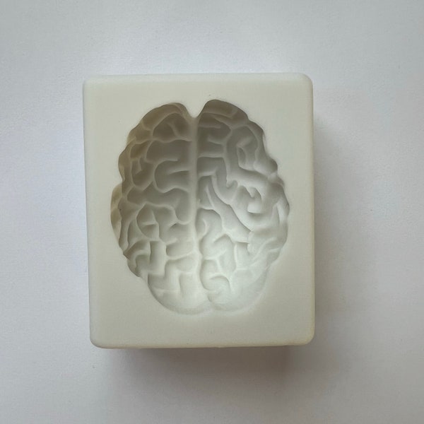 Brain Candy Mold - Etsy