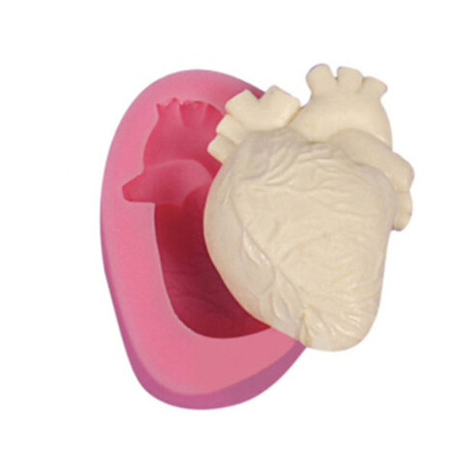 Heart Mold Anatomical Heart Silicone 3D Mold Soap Mold | Etsy