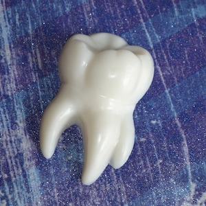 TOOTH MOLD, Dental Soap Mold, Molar Tooth Plastic Bath Bomb Mold ...