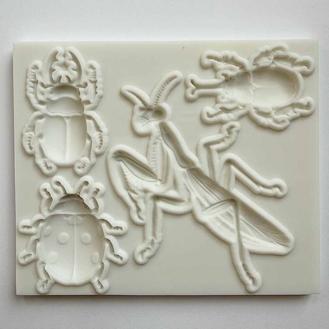 INSECTS VARIETY MOLD, Roach Spider Ladybug Grasshopper Silicone Fondant ...