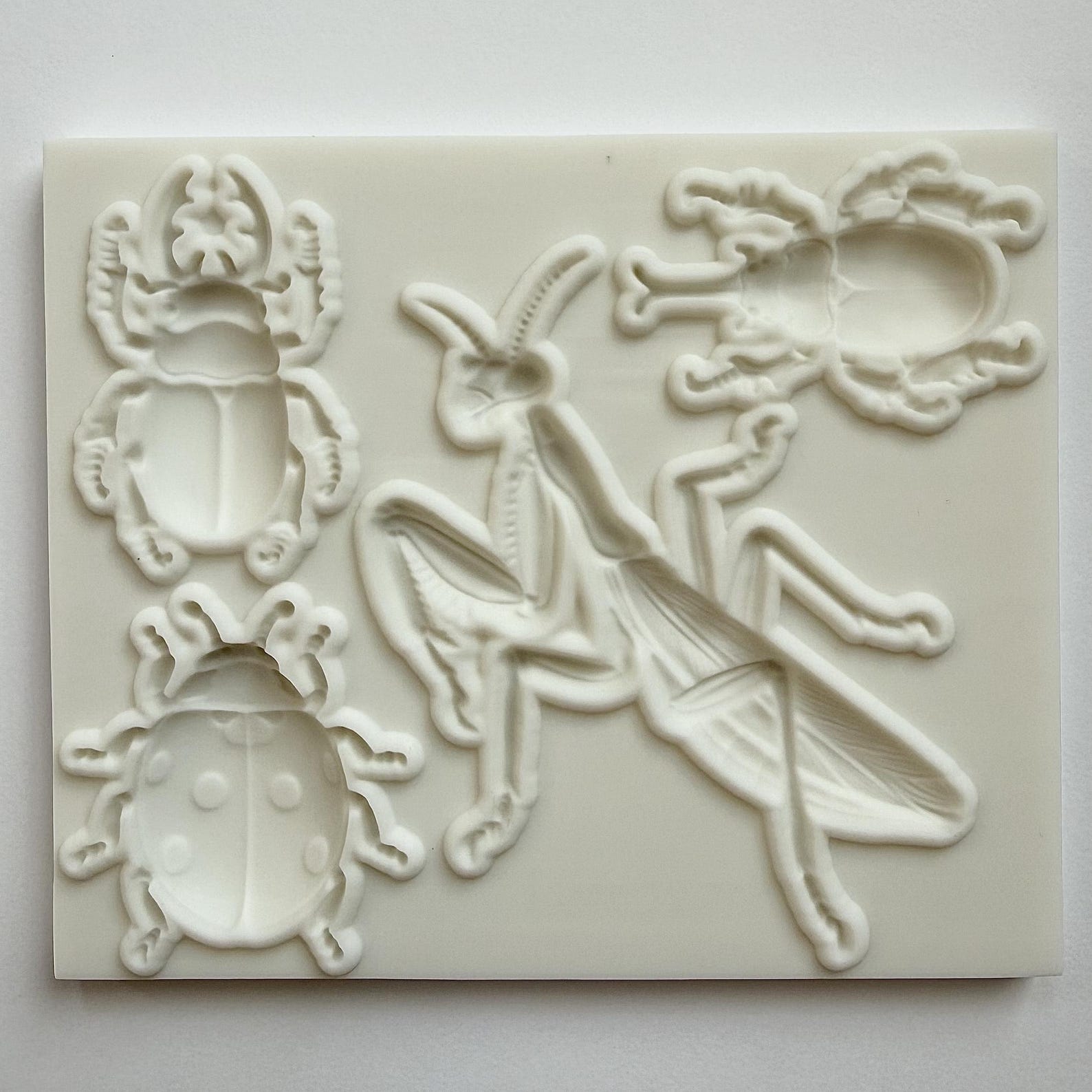 INSECTS VARIETY MOLD, Roach Spider Ladybug Grasshopper Silicone Fondant ...