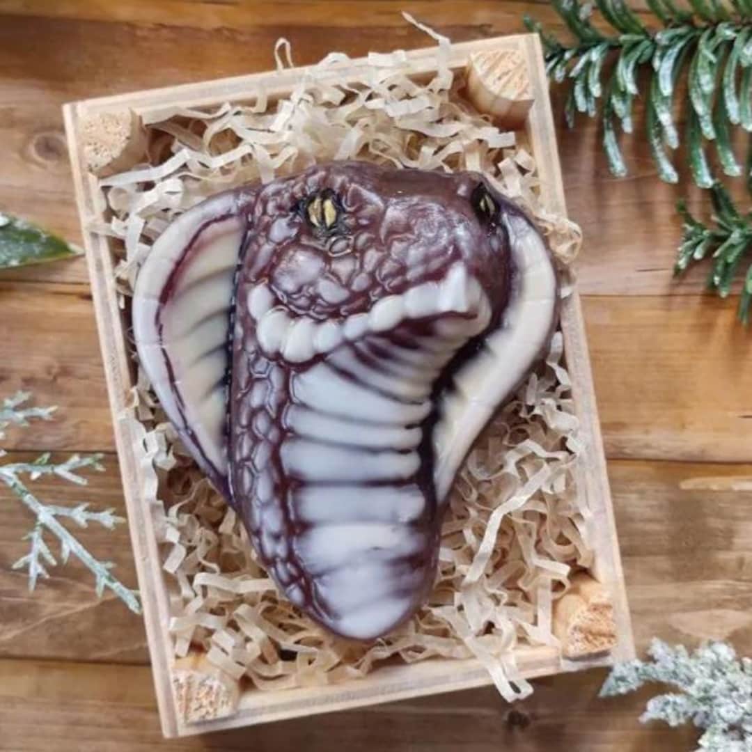 COBRA SNAKE MOLD, Plastic Soap Mold, Bath Bomb Mold, Chocolate Mold ...