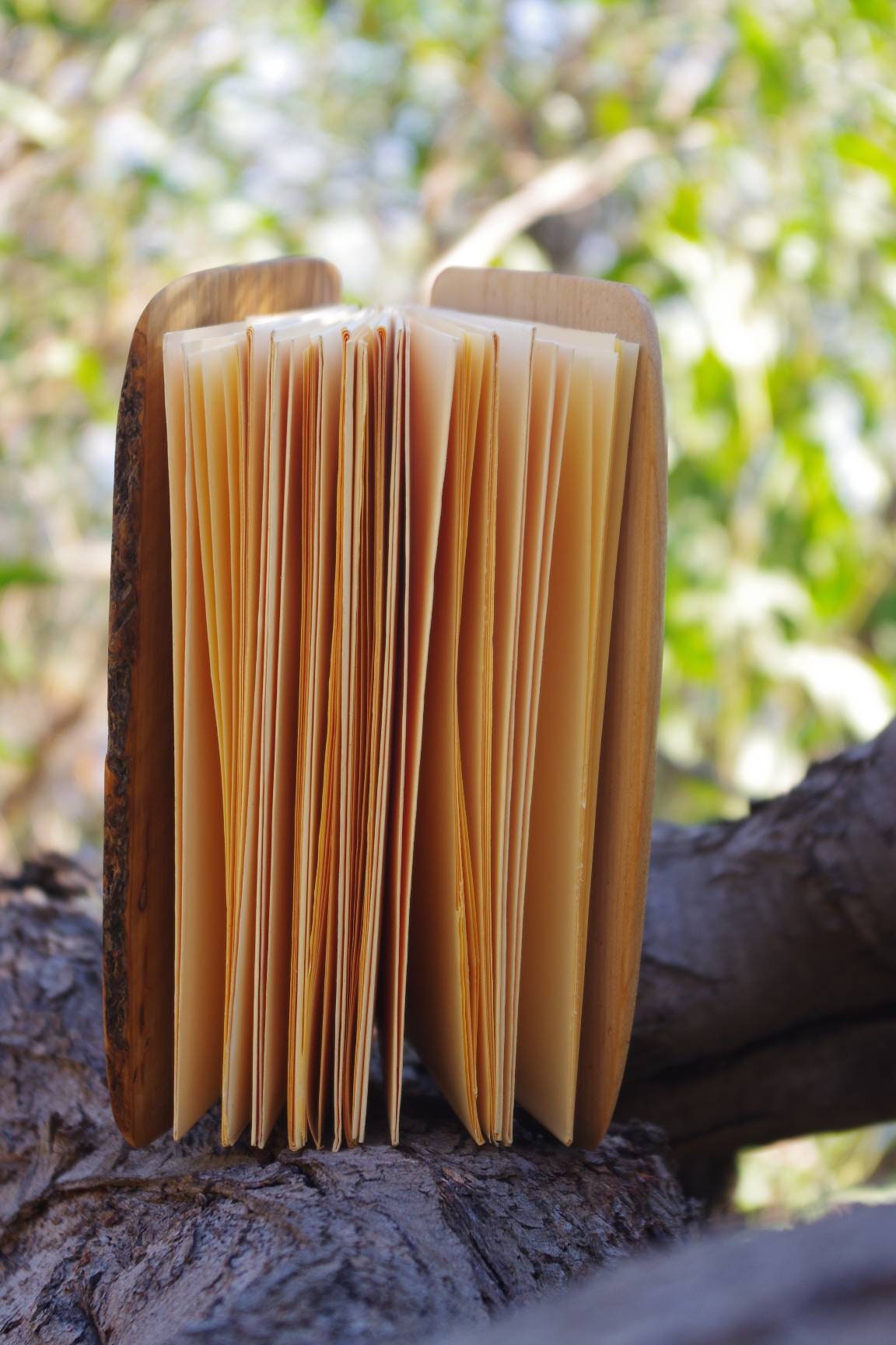 Wooden Notebook Raw Diary Wood Lover Gift Nature Lover | Etsy