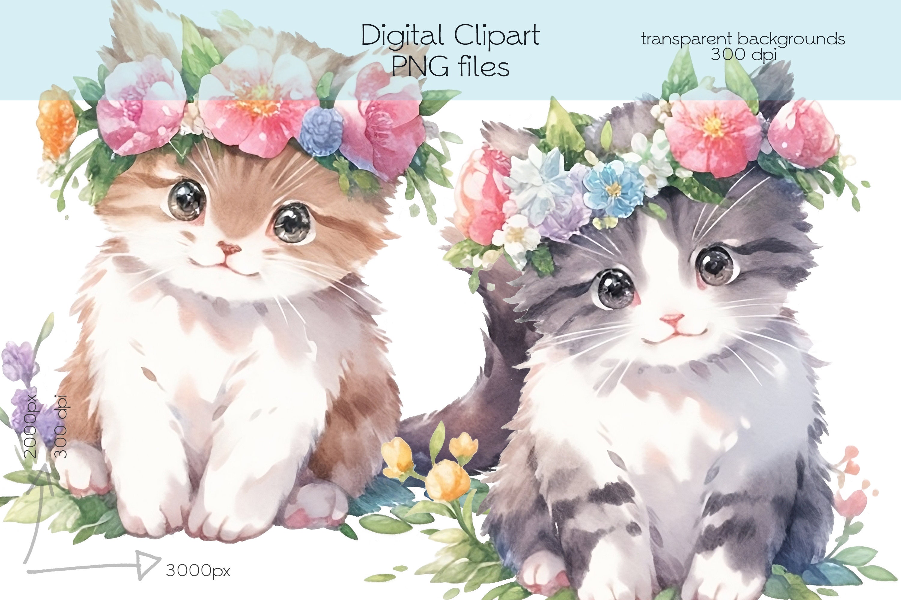 Watercolor Cats Clipart / Cute Kitten / PNG Files / Instant - Etsy