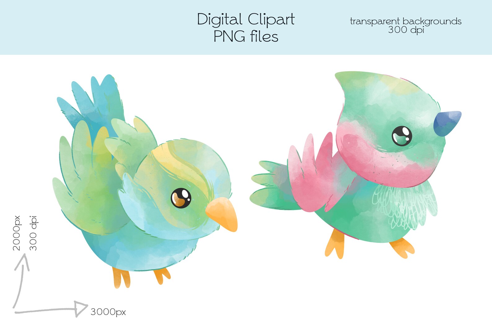 Birds Clipart / Little Birds / PNG Files / Instant Download - Etsy