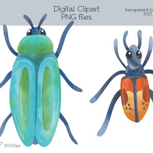 Bugs Clipart / Garden Insect / PNG Files / Instant Download - Etsy