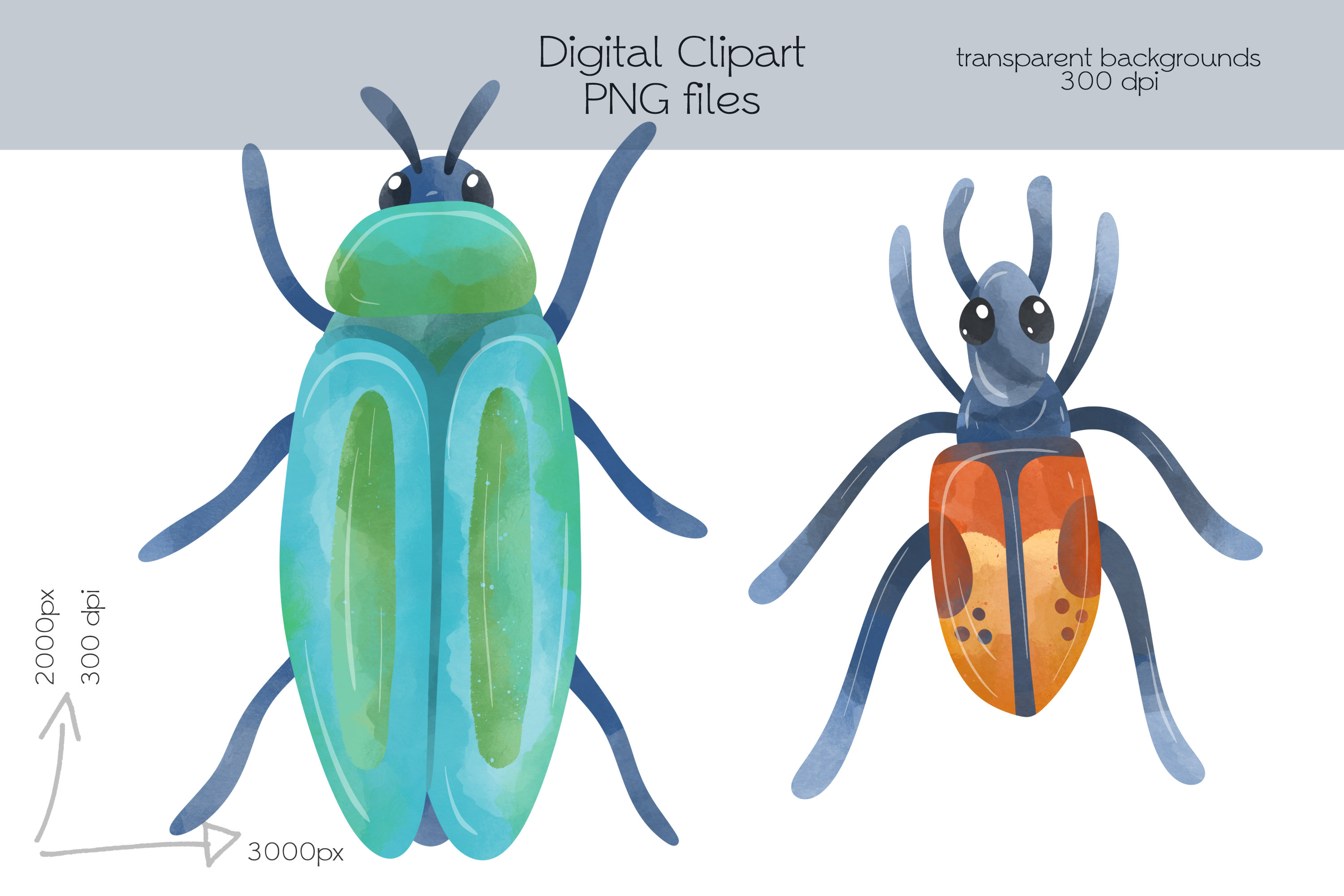 Bugs Clipart / Garden Insect / PNG Files / Instant Download - Etsy