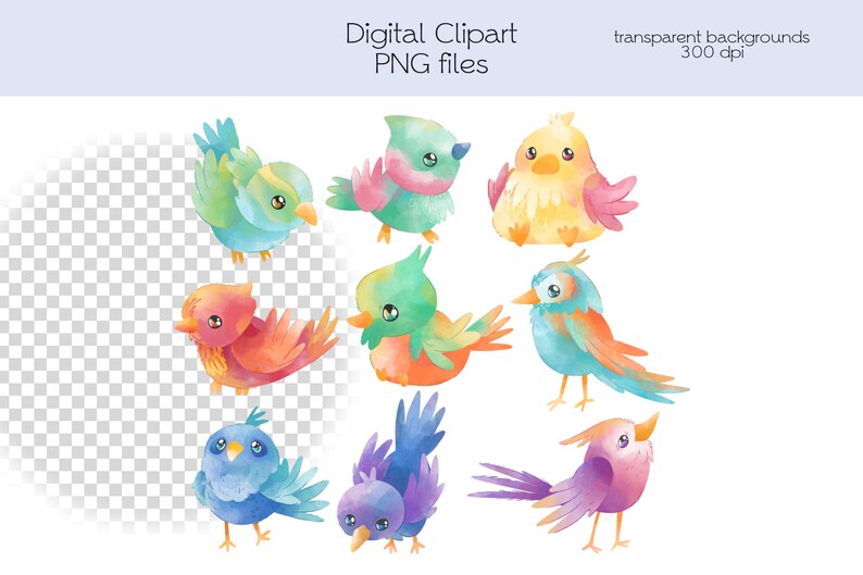 Birds Clipart / Little Birds / PNG Files / Instant Download - Etsy