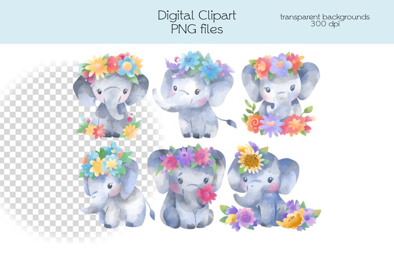 Elephant Clipart / PNG Files / Instant Download - Etsy