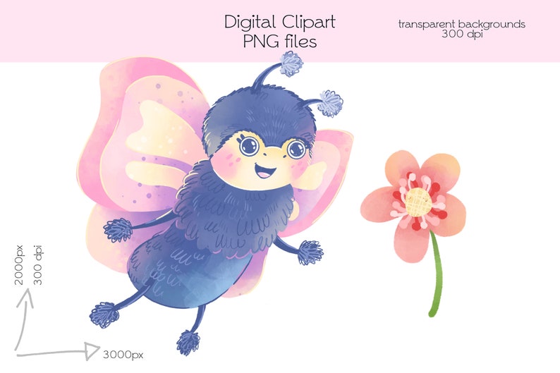 Cute Butterflies Clipart / Insect Clipart / PNG Files / Instant ...