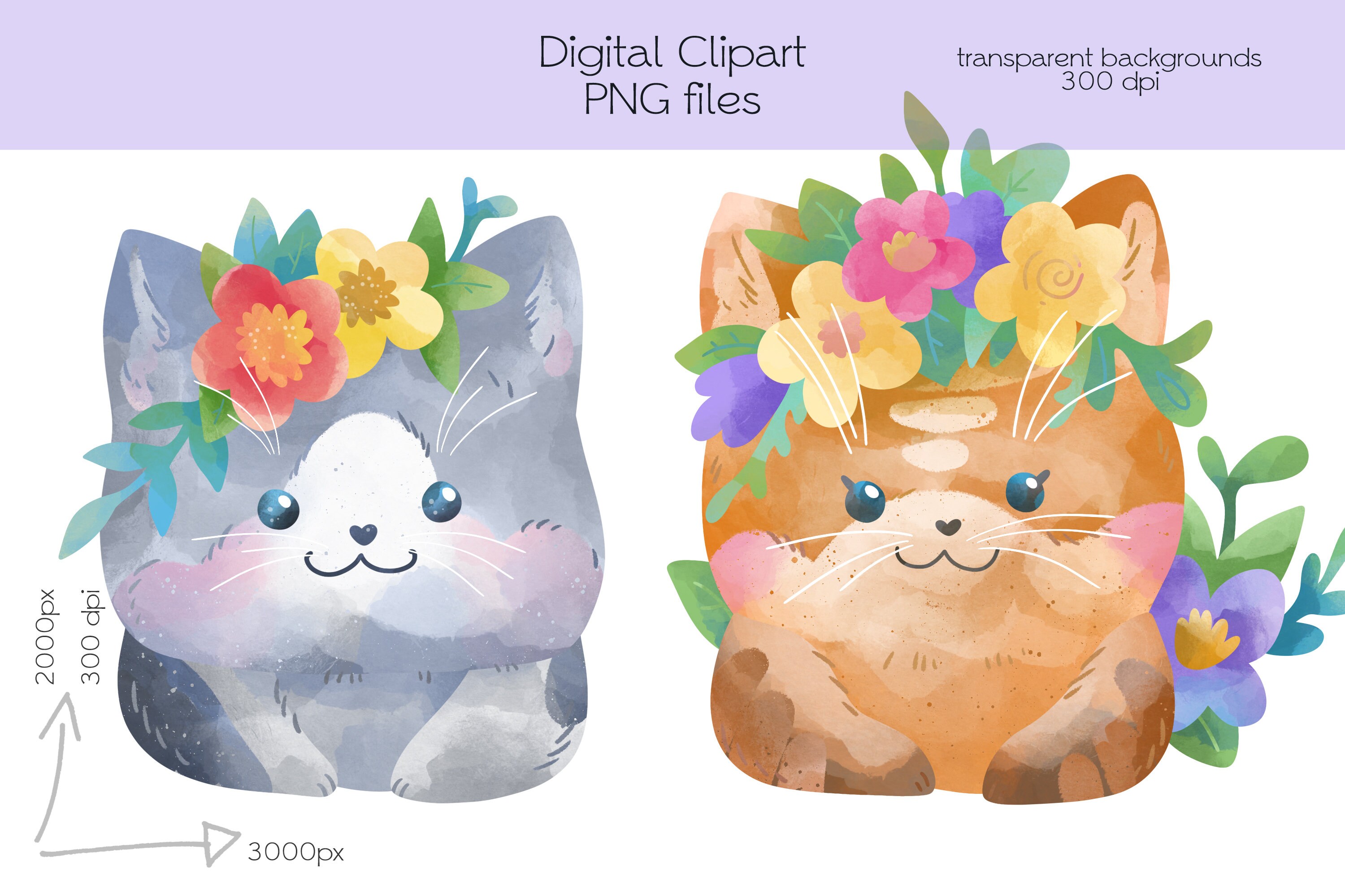 Cats Clipart / Pets / PNG Files / Instant Download - Etsy