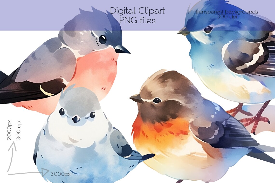 Watercolor Birds Clipart / Little Birds Clipart / PNG Files / Instant ...