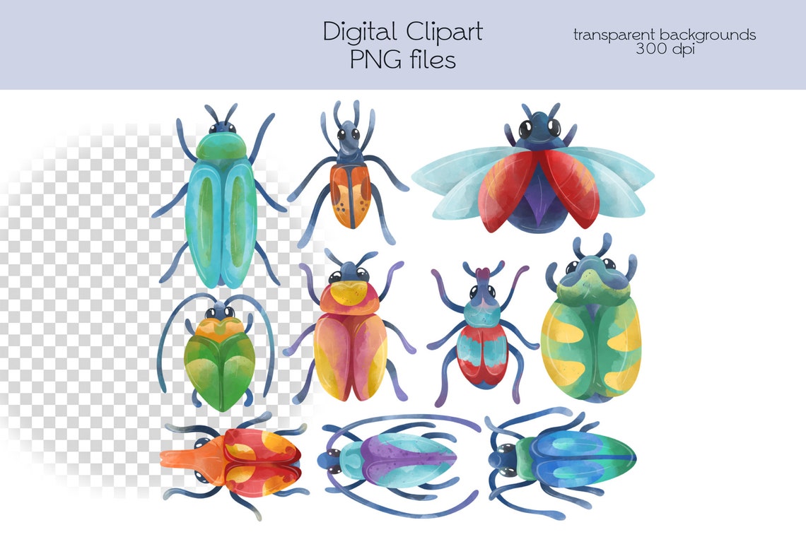Bugs Clipart / Garden Insect / PNG Files / Instant Download - Etsy