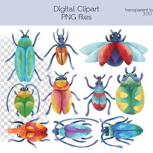 Bugs Clipart / Garden Insect / PNG Files / Instant Download - Etsy