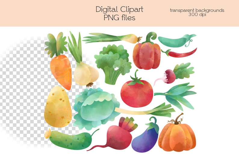 Vegetables Clipart / PNG Files / Instant Download - Etsy