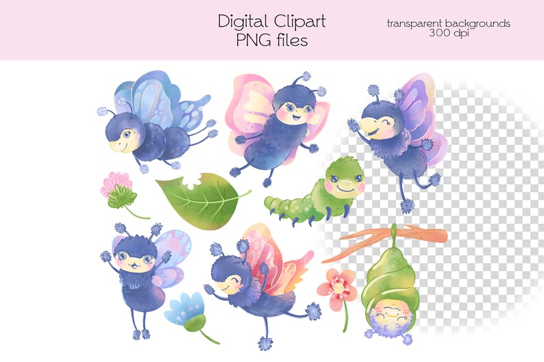 Cute Butterflies Clipart / Insect Clipart / PNG Files / Instant ...
