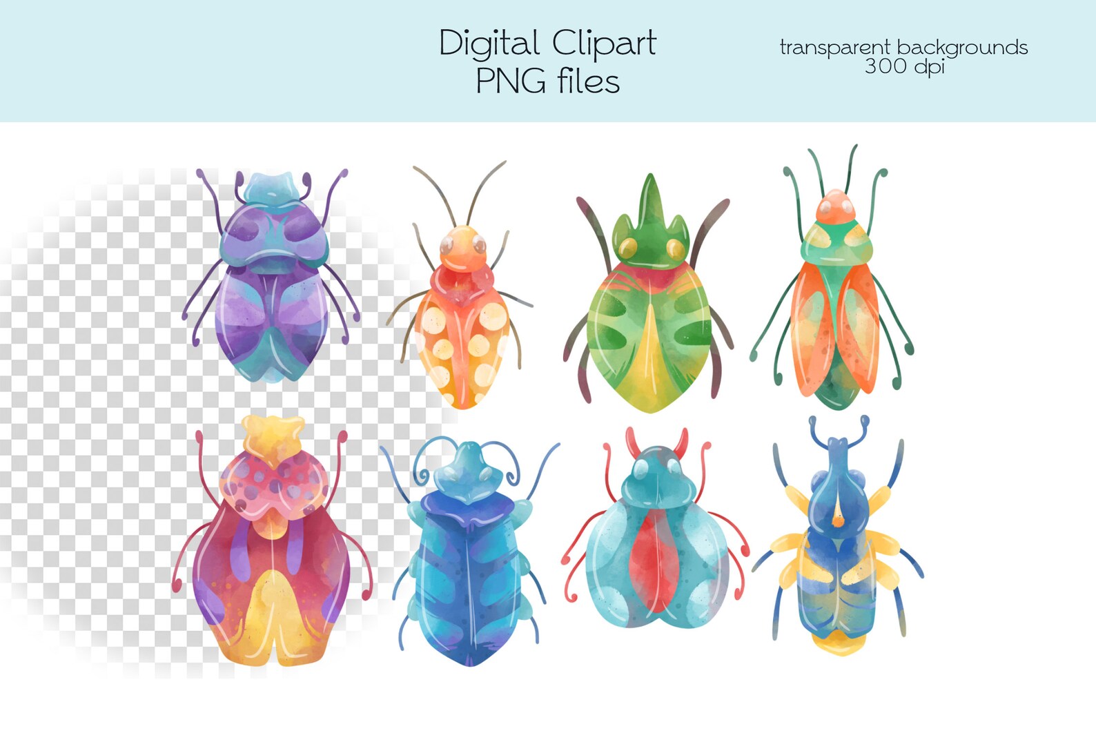 Bugs Clipart / Garden Insect / PNG Files / Instant Download - Etsy