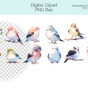 Watercolor Birds Clipart / Little Birds Clipart / PNG Files / Instant ...