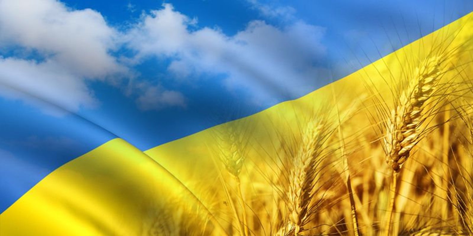 Ukraine Digital Download Banner Digital File Ukrainian Artist - Etsy