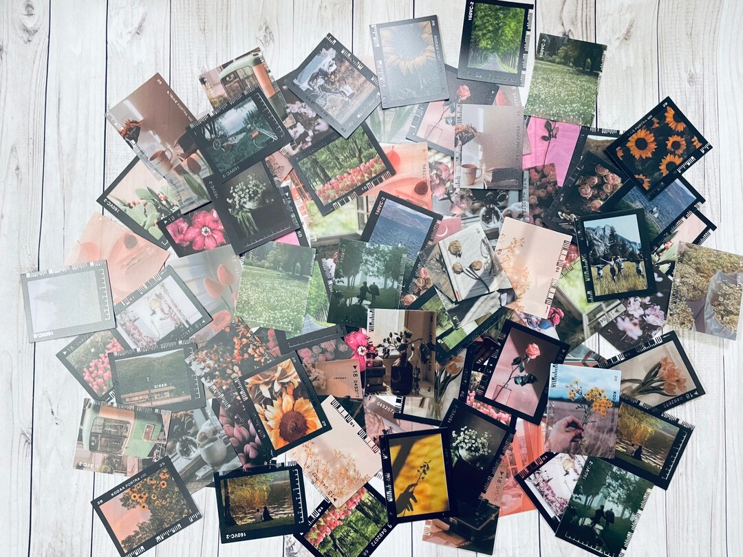 Old Vintage Reel Photo Sticker for Junk Journaling. Color Vintage Photo ...