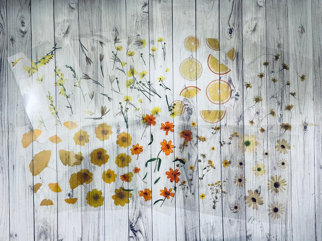 10 Sheets of Yellow Transparent Journal Stickers. Journaling - Etsy